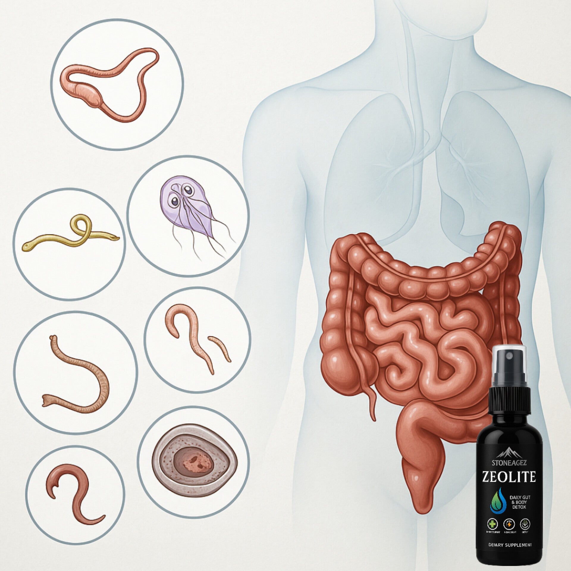 Parasite Cleanse – Essentials & Guides | Stoneagez – StoneAgez
